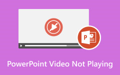 Tipard Resource Page to Solve All Multimedia Issues